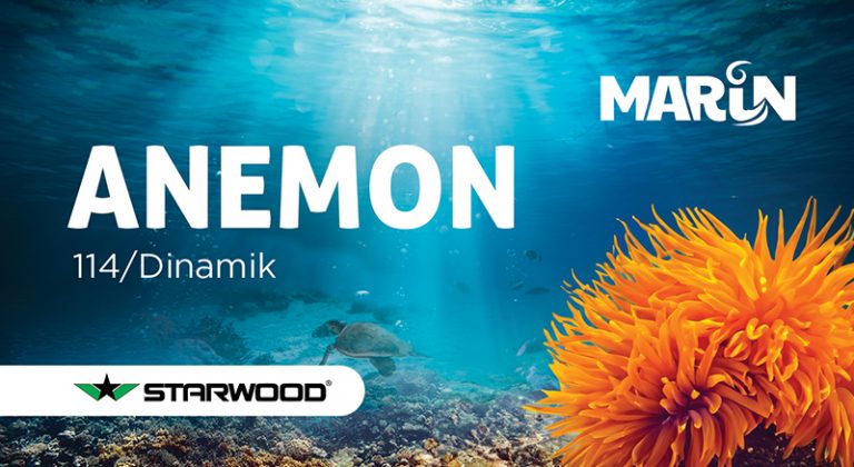 Anemon - Starwood
